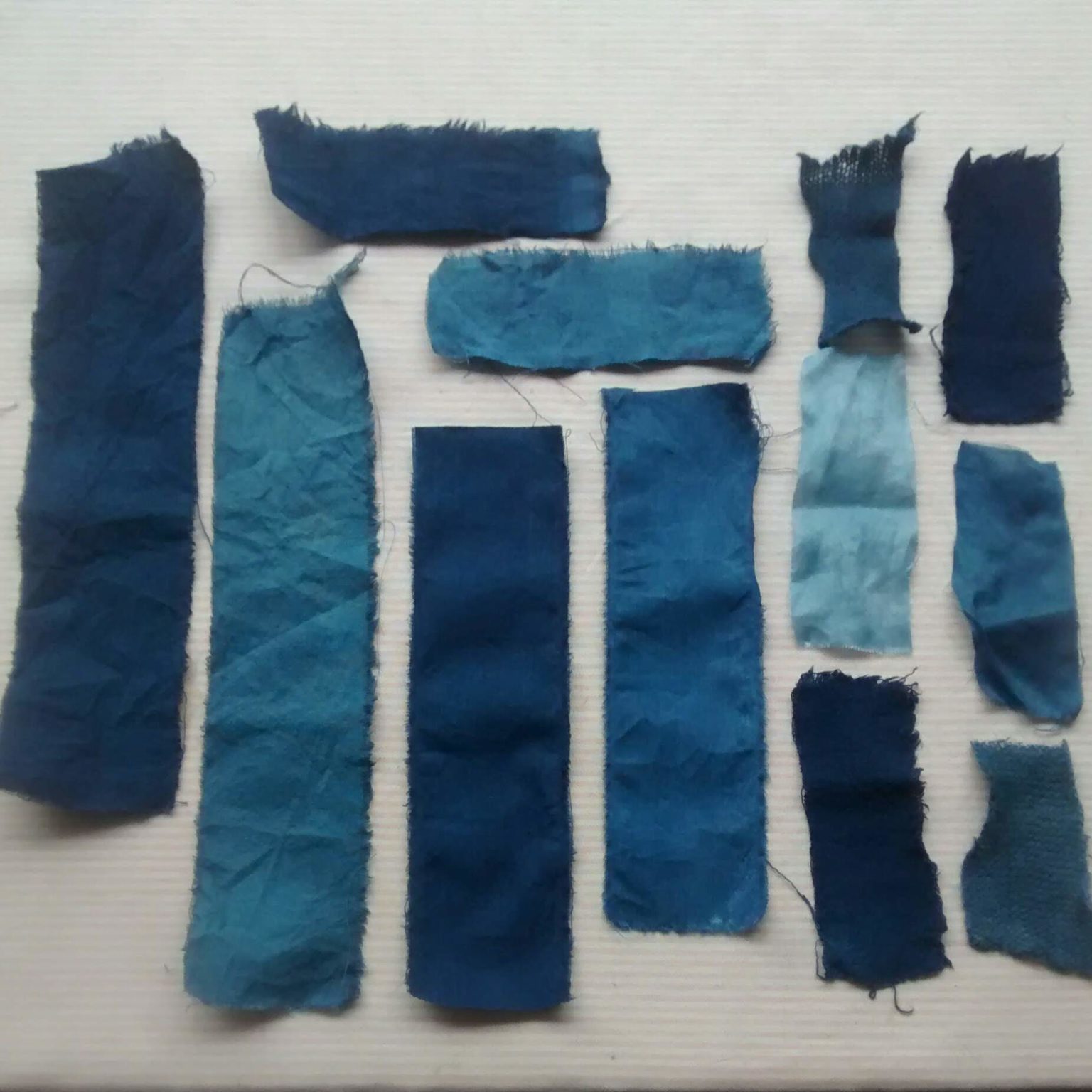 ¿Qué es índigo? Conoce un planta / tinte / color milenario! – Francisca ...