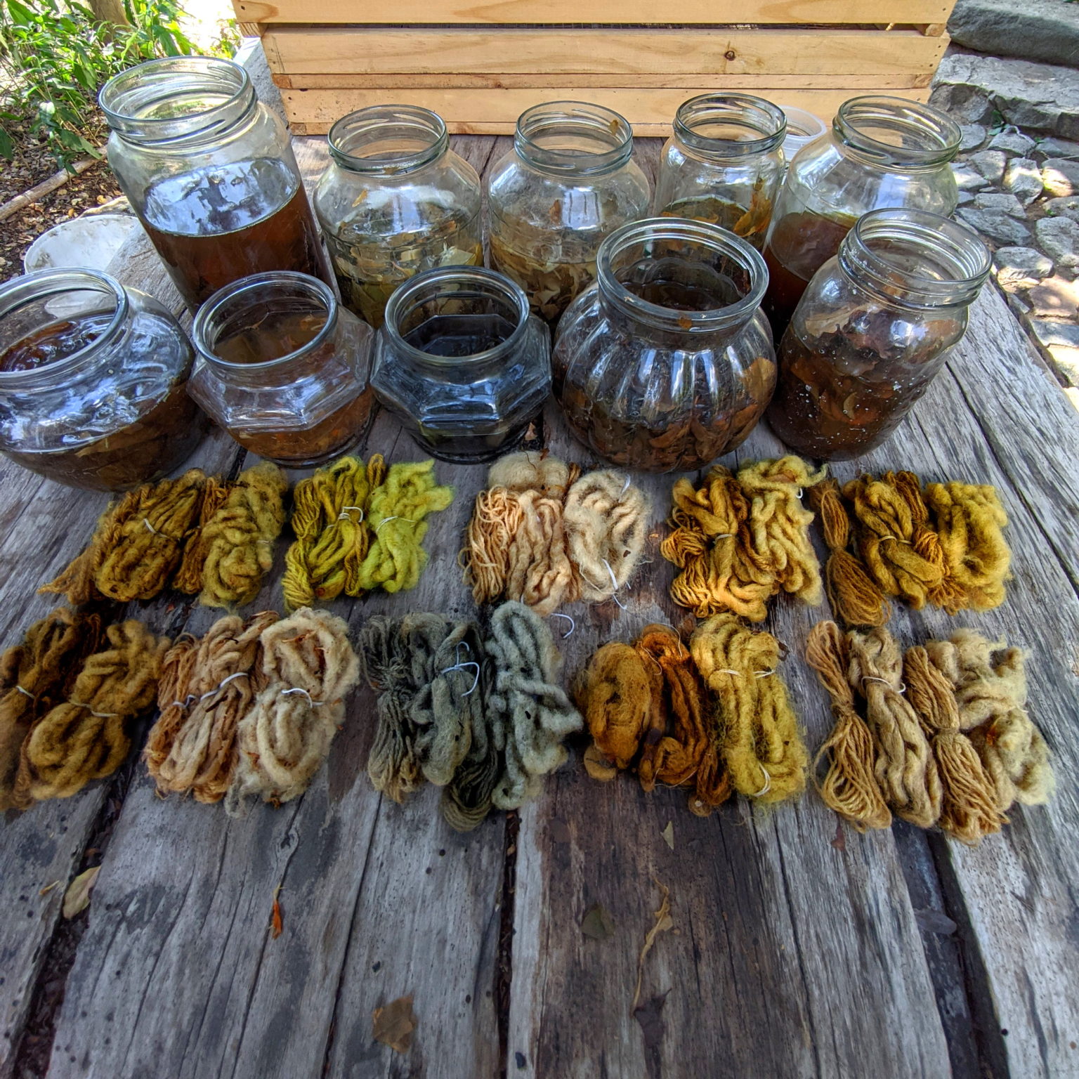 tintes naturales – Francisca Núñez-Reveco